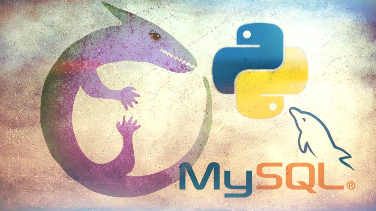 Connect to MySQL with Python