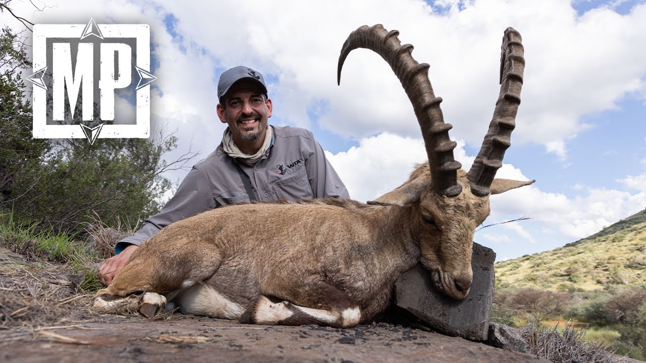 Northern Cape of South Africa: Nubian Ibex | Mark V. Peterson Hunting