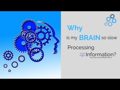Why is my brain so slow at processing information?
