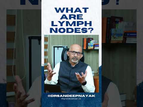 What are Lymph nodes?