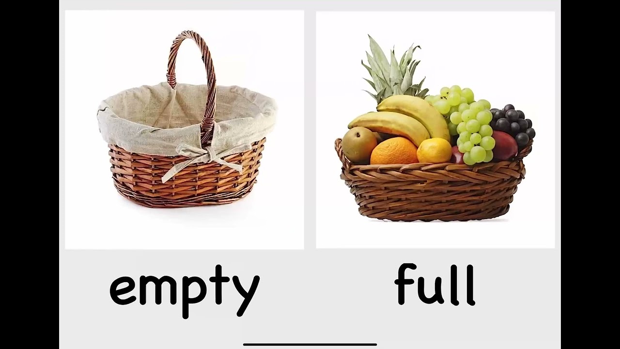 Learn Opposites Flashcards | Side by Side Game | Flashcards for Toddlers