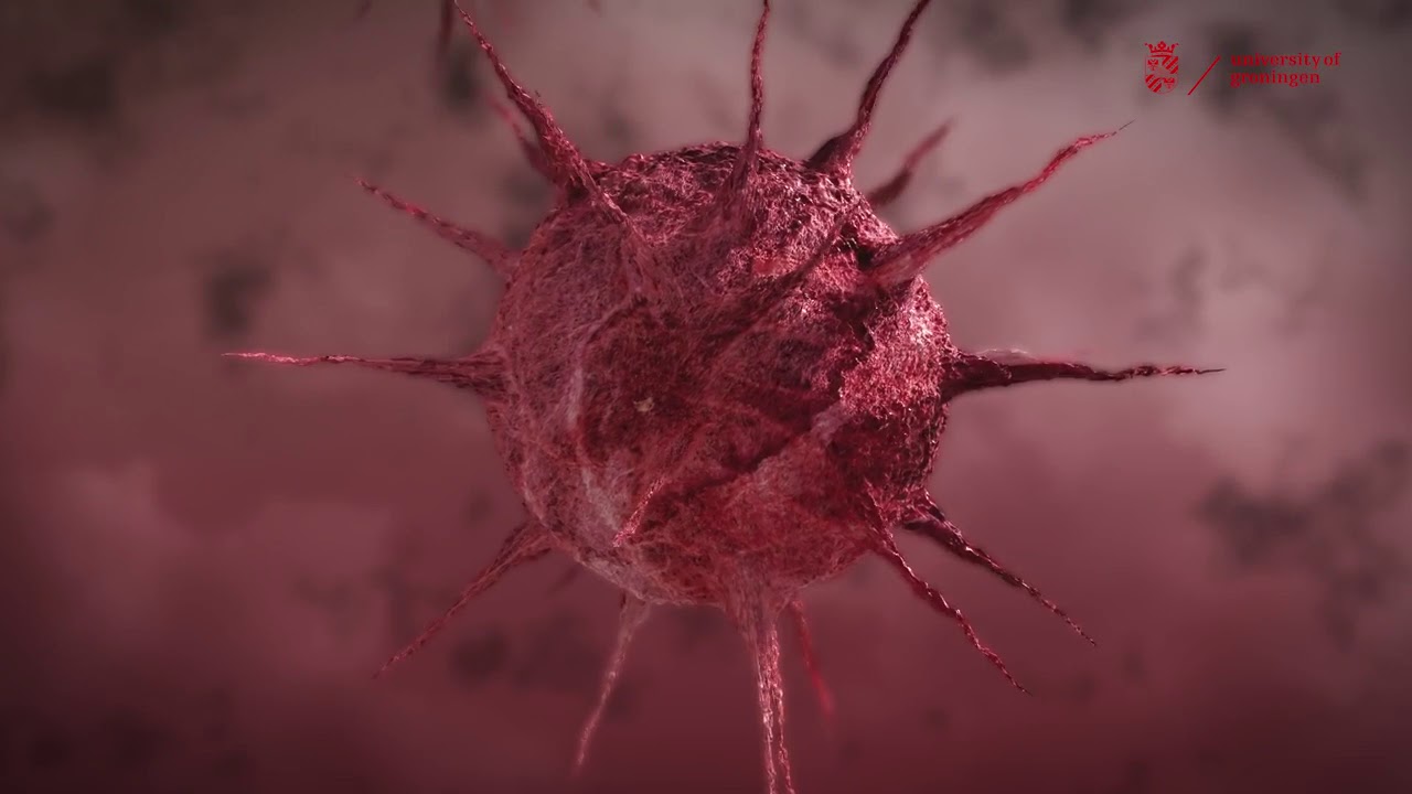 Language Testing During Awake Brain Surgery Massive Open Online Courses Mooc University Of