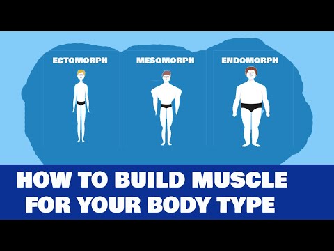 How to Build Muscle for Your Body Type – Find Out What Works for You!