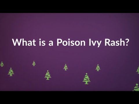 What is a Poison Ivy Rash? (Symptoms, Causes, Treatment, Prevention)