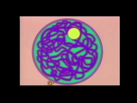 The Cell Cycle PowerPoint Notes
