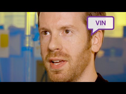 What is a VIN? - CarSpeak by Cars.com