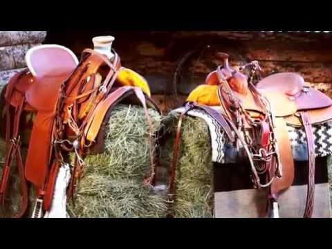 CO Saddlery Commercial