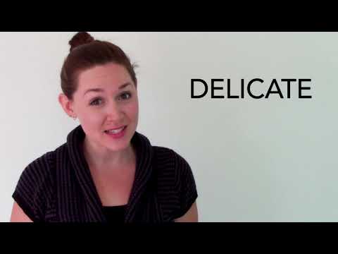 Delicate | Spotlight's Word of the Day