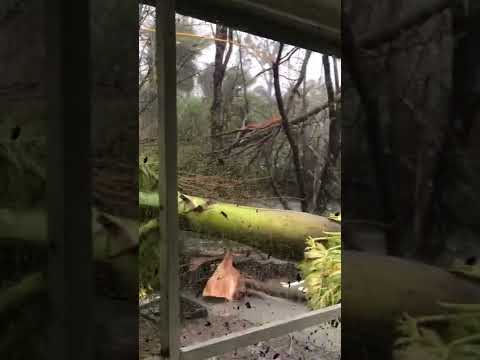 Hurricane Ian 145mph + Deadly Storm Surge