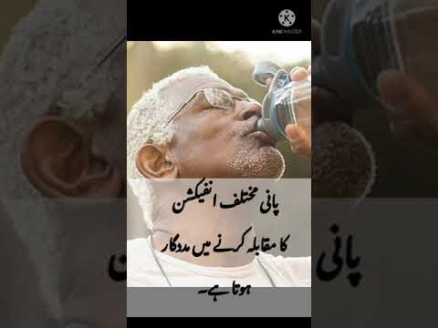 Why drinking water is important??| in urdu by Urdu ka bagheecha