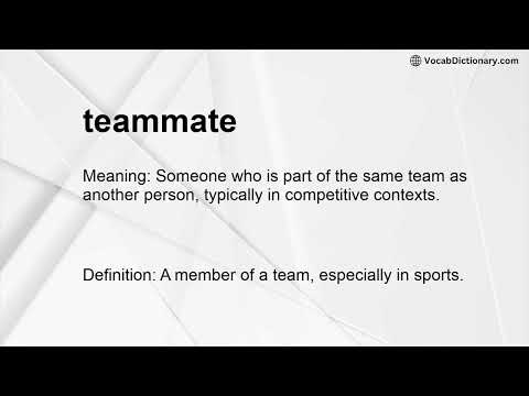 teammate Meaning