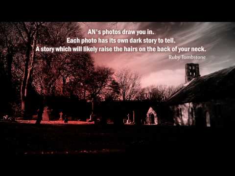 Fans of Amanda Norman's Photography