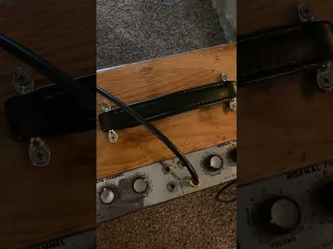 Alamo Paragon Vintage Guitar Amplifier 6L6 Amp | Reverb