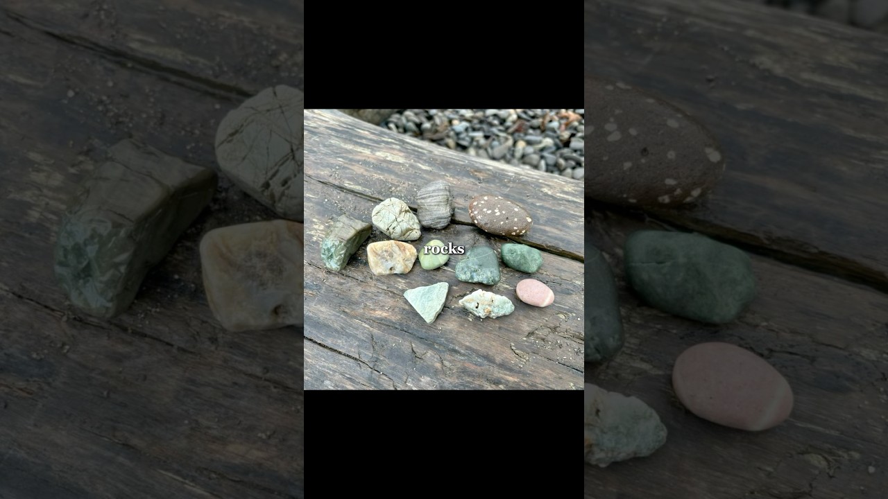 the most random things you collected as a kid #childhood #nostalgia #nostalgic #collection