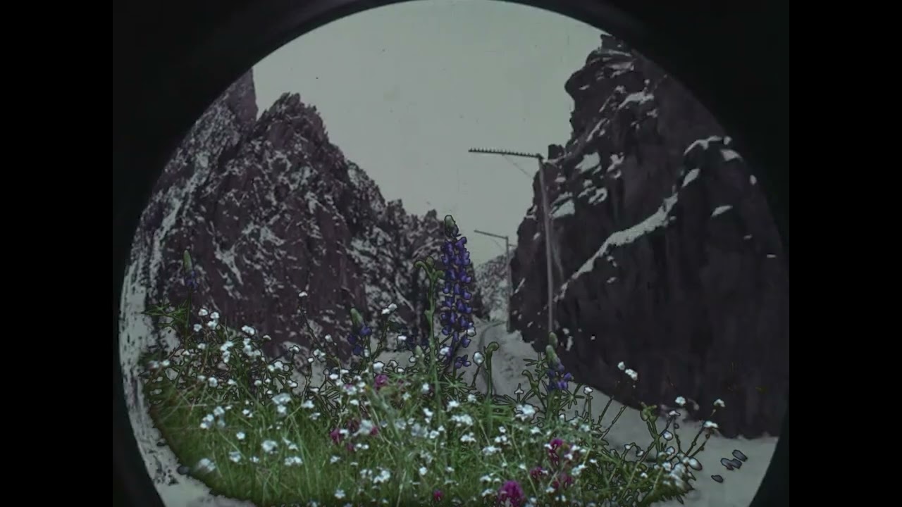 Where is your home - Mike Thrasher