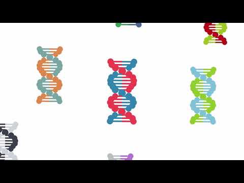 GenParts™ DNA Fragments