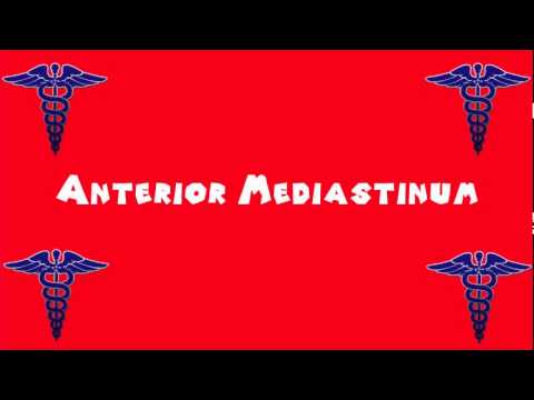Pronounce Medical Words ― Anterior Mediastinum