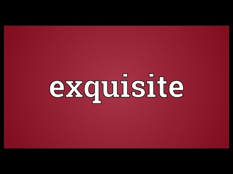 Exquisite Meaning
