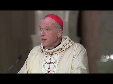 Cardinal Robert McElroy officially installed as archbishop of Washington | NBC4 Washington