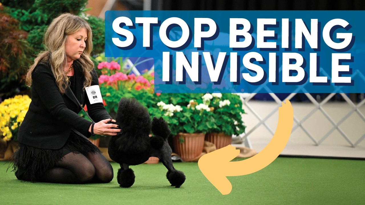 Standing Out At Your National Specialty: Pro Handler's Guide