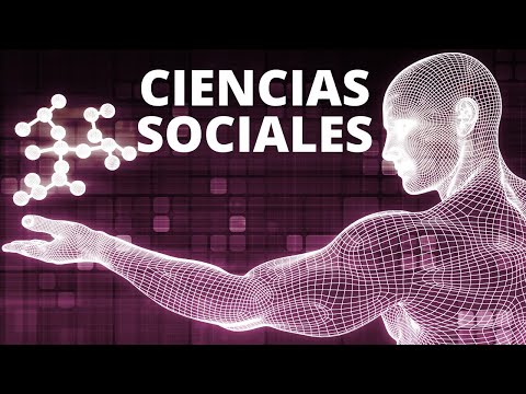 What are social sciences and what do they study? Branches, importance and examples👨🏫
