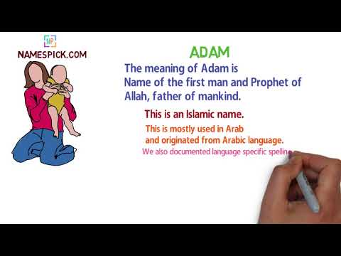 The meaning of Adam