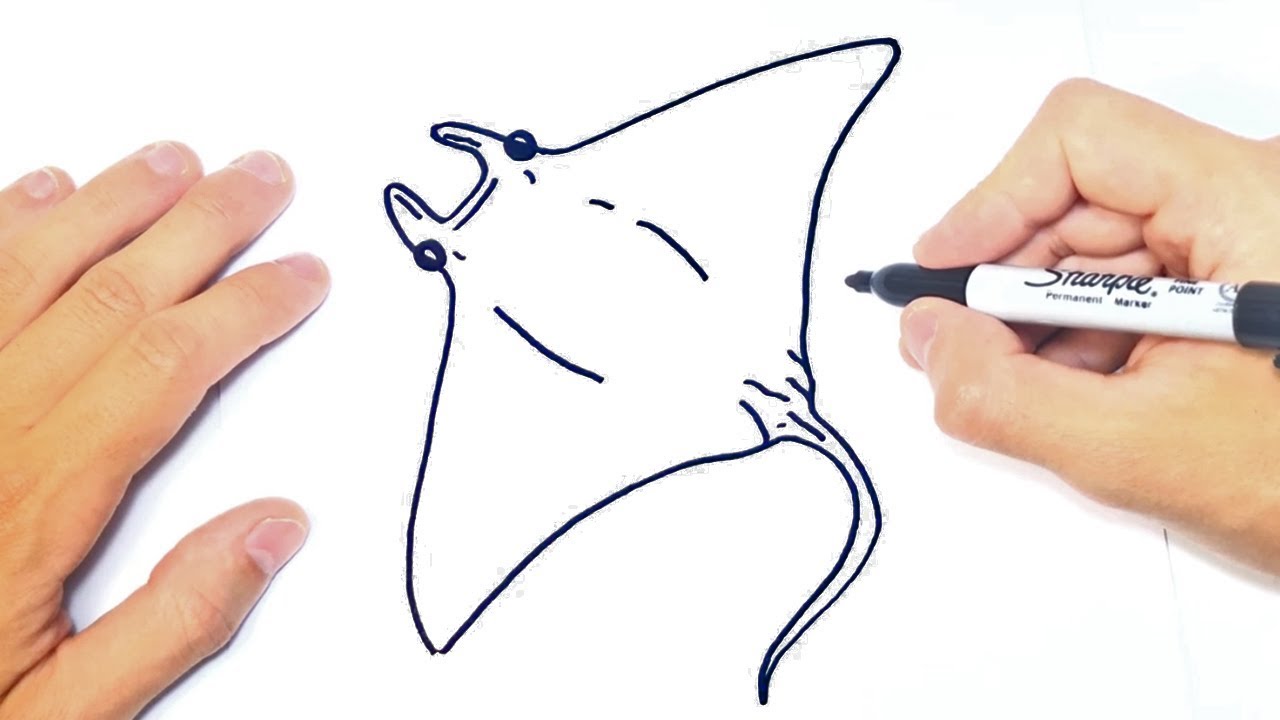 Cómo dibujar una Manta o Raya Paso a Paso y fácil