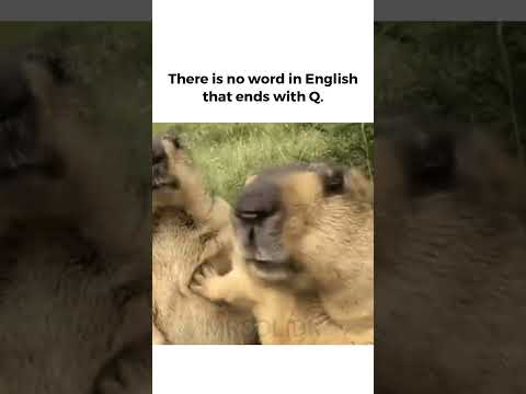 The is no English word that ends with Q