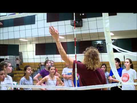 Volleyball Form, What is the Antennae For?