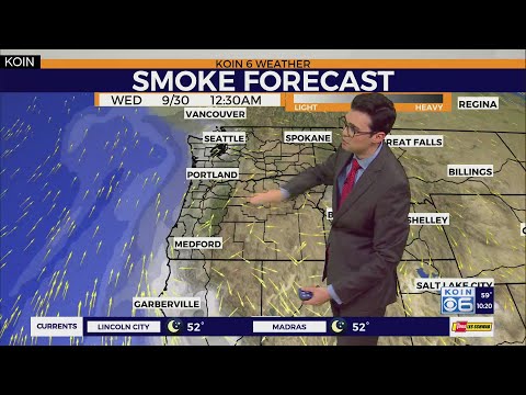 Weather forecast: Patchy morning fog before the sunshine is back