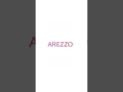 As bolsas da Arezzo combinam estilo e sofisticação, apresentando designs modernos #arezzo #foryou 👛