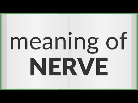 Nerve | meaning of Nerve
