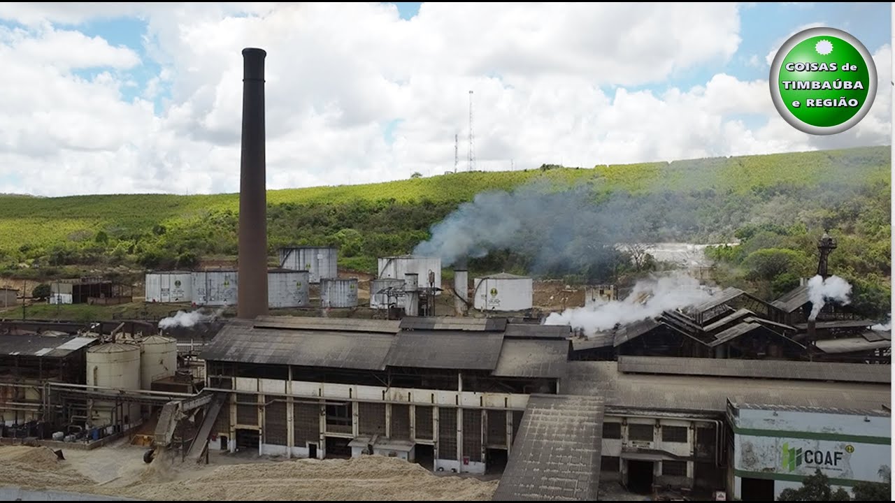 Usina Coaf Timbaúba produzinho cachaça, açúcar e Etanol
