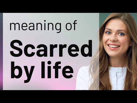 Understanding "Scarred by Life": An English Phrase Explained