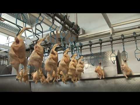 FIRCO 3 décadas de trabajo | Fideicomiso de Riesgo Compartido ...