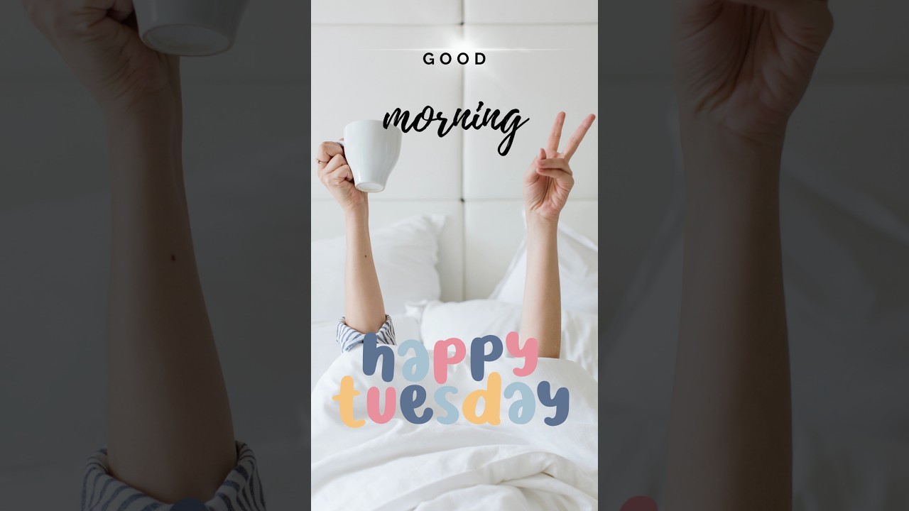 Good Morning Happy Tuesday! #shorts #goodmorning #tuesday