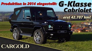 Cargold - Classic Sportscars, Prewar Cars & Supercars