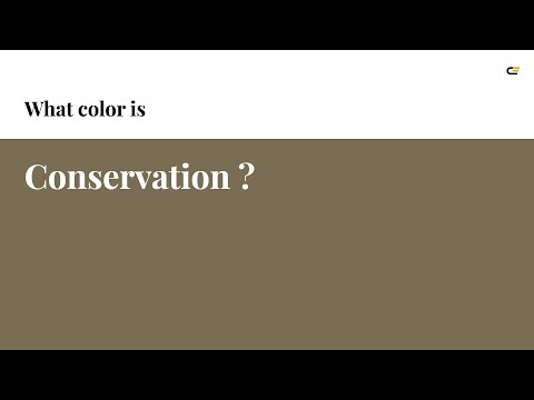 Conservation color #796e54 hex color - Yellow color - Cool color 796e54