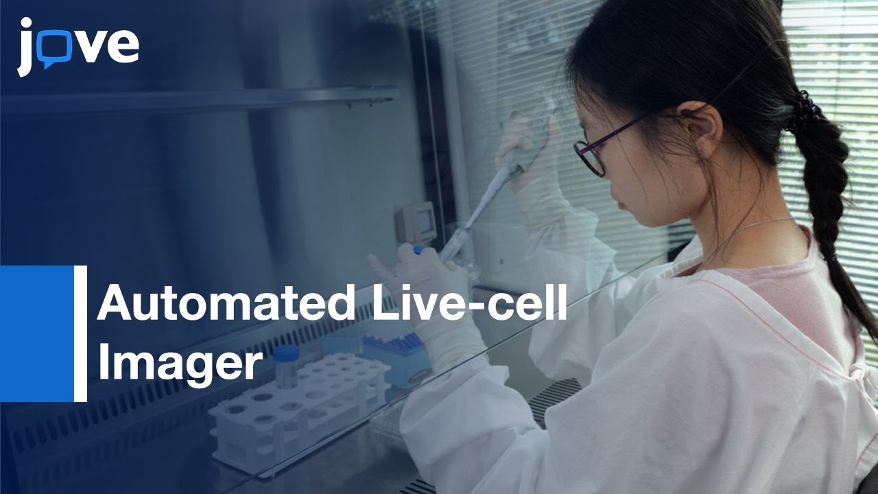 Invasion Workflow Using Automated Live-cell Imager | Protocol Preview