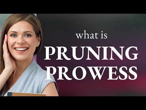 Exploring the Phrase "Pruning Prowess" in English