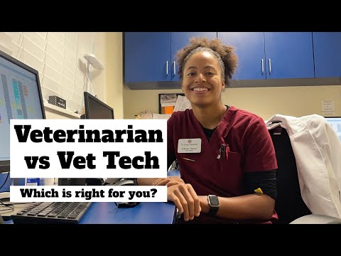 The Difference Between Veterinarians and Vet Techs