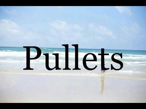 How To Pronounce Pullets🌈🌈🌈🌈🌈🌈Pronunciation Of Pullets