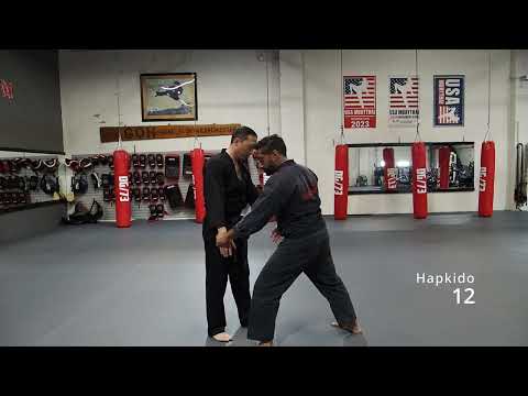 Hapkido Basics: 20 Moves – Foundation of Wrist Manipulation | Dragon Gym Martial Arts & Fitness