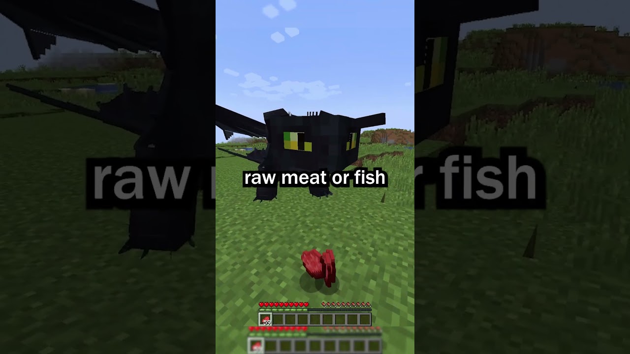 This Mod adds DRAGONS to Minecraft
