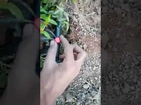 Online Dripper at Best Price in India