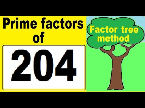 Prime factors of 204. Prime factors decomposition of 204. Factor tree method.