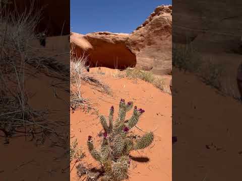 📍 Location: Near Shell Gas Station, just a few minutes from Lower Antelope Canyon, Page, Arizona.