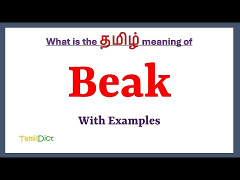 Beak Meaning in Tamil | Beak in Tamil | Beak in Tamil Dictionary |
