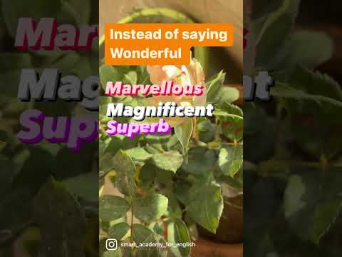 || Instead of saying Wonderful || synonyms || рд╕рдорд╛рдирд╛рд░реНрдереАрд╢рдмреНрджрее vocabulary || ielts || daily vocabulary