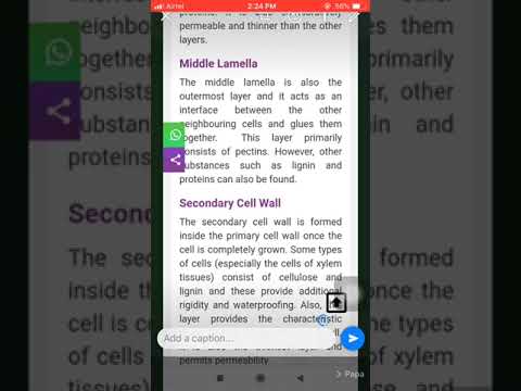 Cell wall - Definition,Structure and Functions